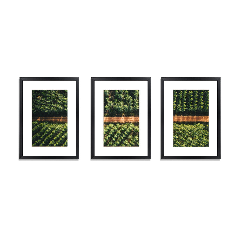 3 a3 frames store